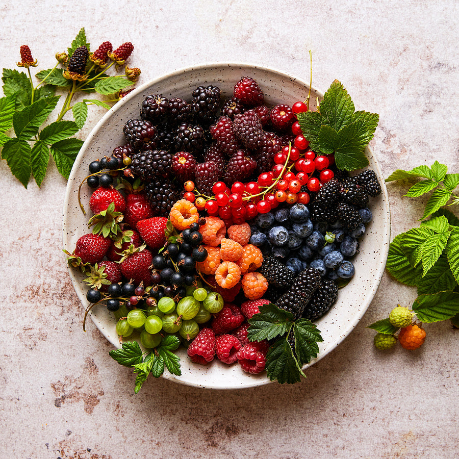 Northwest Wild Foods | Raw, Healthy, Natural – Wild, natural &am