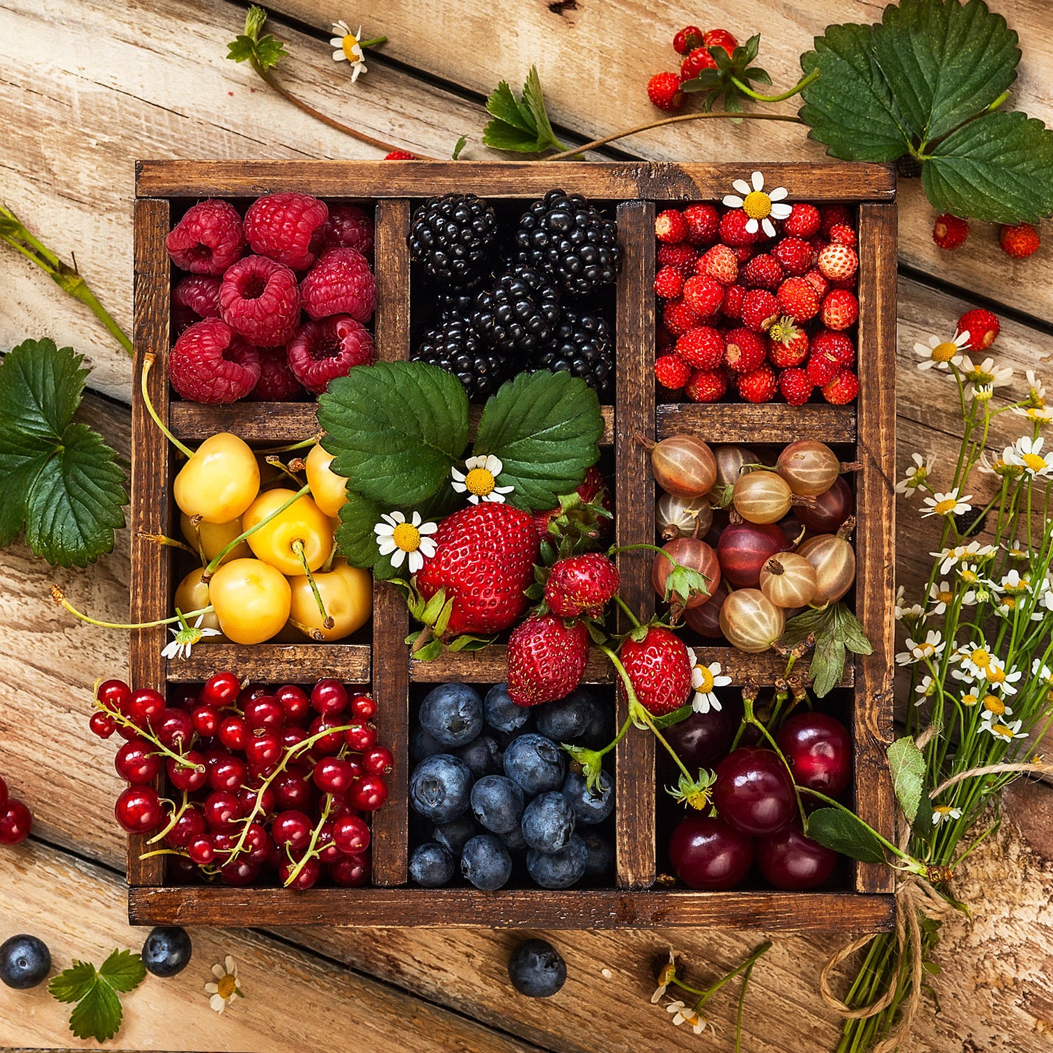 Northwest Wild Foods | Raw, Healthy, Natural – Wild, natural &am