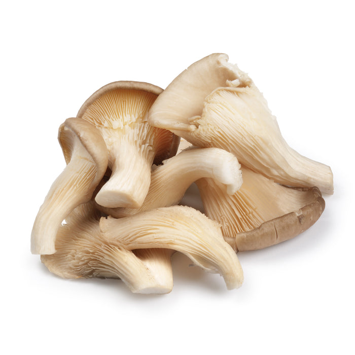 ***FRESH Organic Oyster Mushrooms