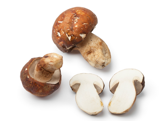 ***FRESH Wild Porcini Mushrooms – Northwest Wild Foods
