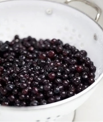 Fresh Frozen Idaho Huckleberries – Northwest Wild Foods