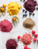 Wild Bilberry Powder