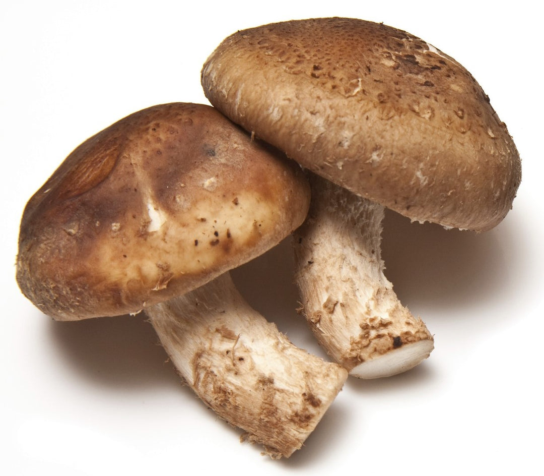 Fresh Frozen Organic Shiitake – Northwest Wild Foods