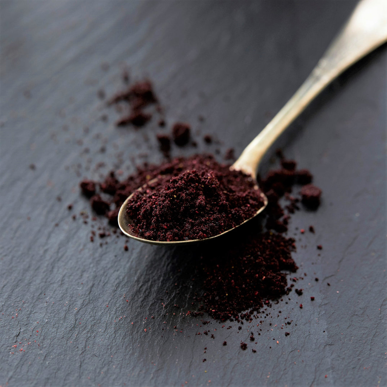 Wild Bilberry Powder – Northwest Wild Foods